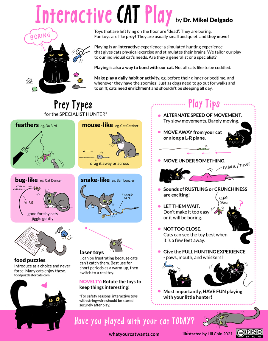 cat play handout