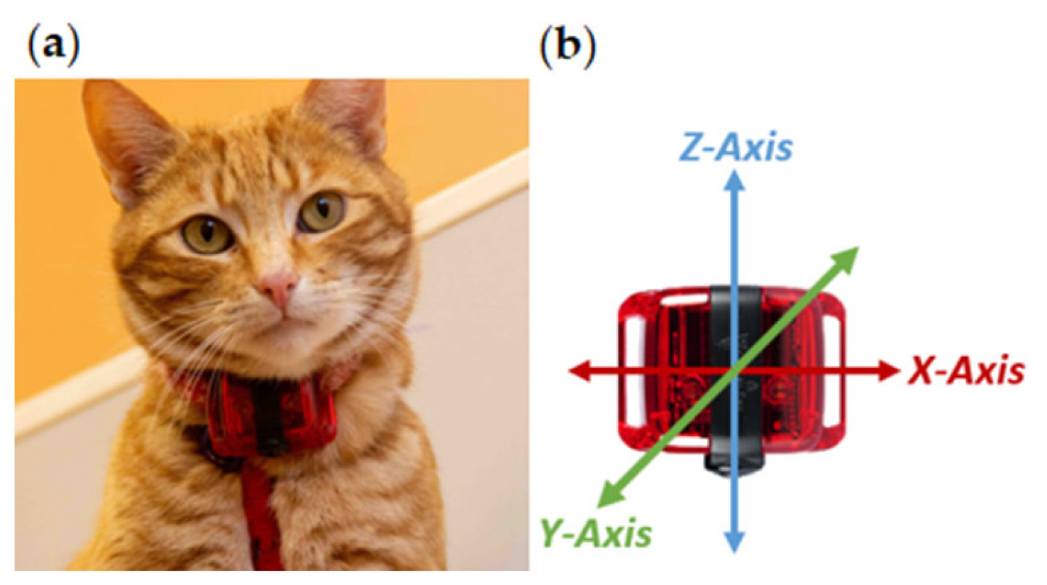 Can computers tell us what cats do all day?