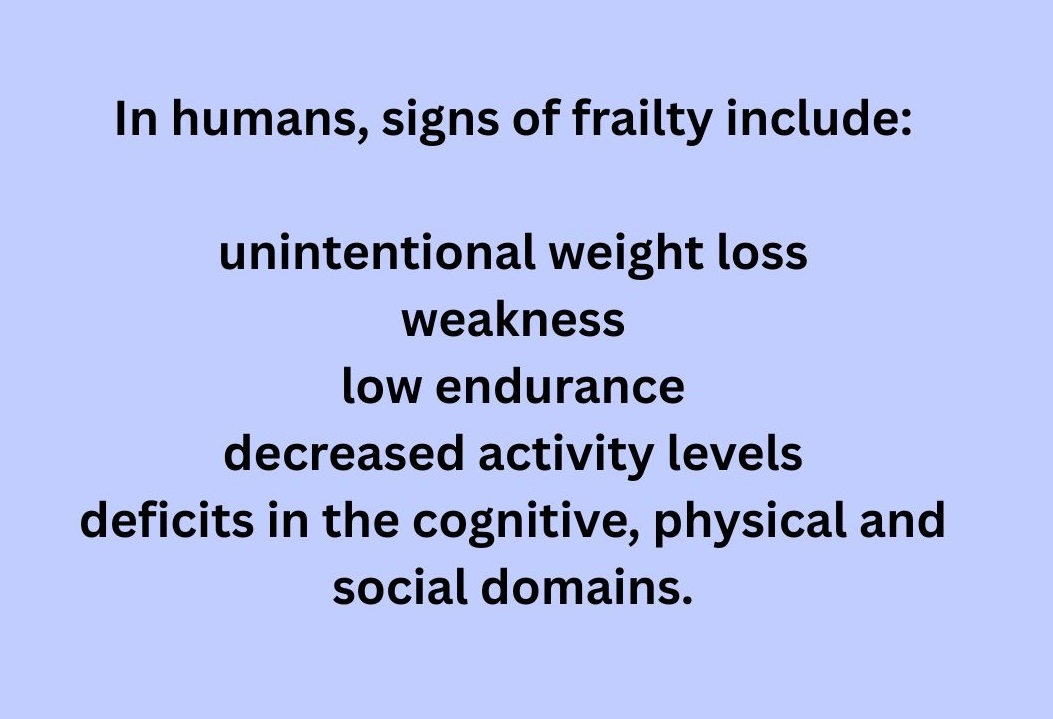 Helping the aging cat: Understanding frailty